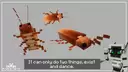 Dancing Roach Minecraft Texture Pack