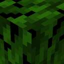 Better Dark Oak Leaves | Java Minecraft Texture Pack