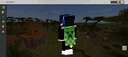 Migrator Cape Minecraft Texture Pack