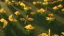 Variated Dandelions :: Icony Tweaks [1.21+] Minecraft Texture Pack