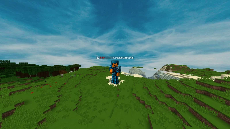 Puma Pack 16x Minecraft Texture Pack