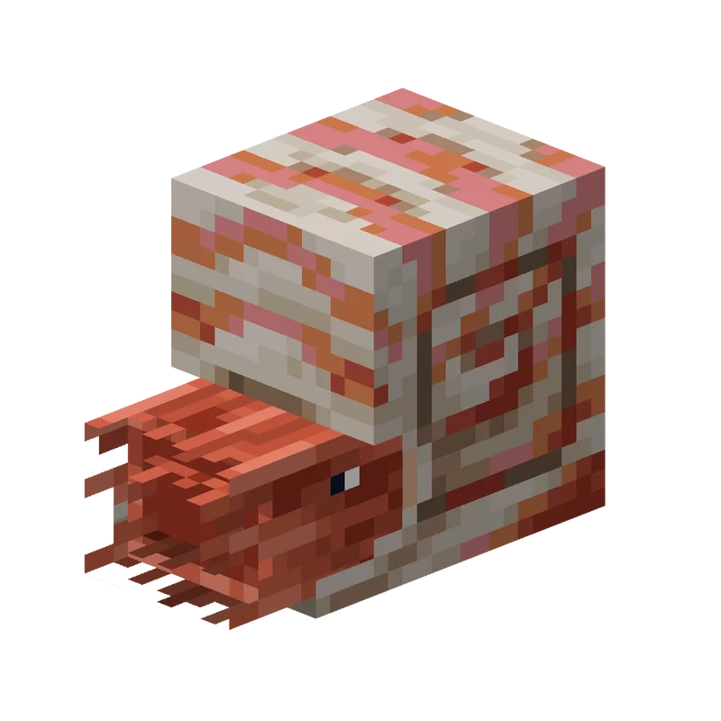 Nautilus showcase Minecraft Texture Pack