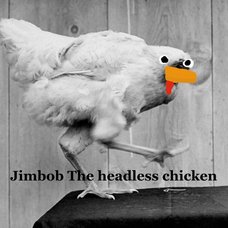 Jimbob The Headless Chicken! Minecraft Texture Pack