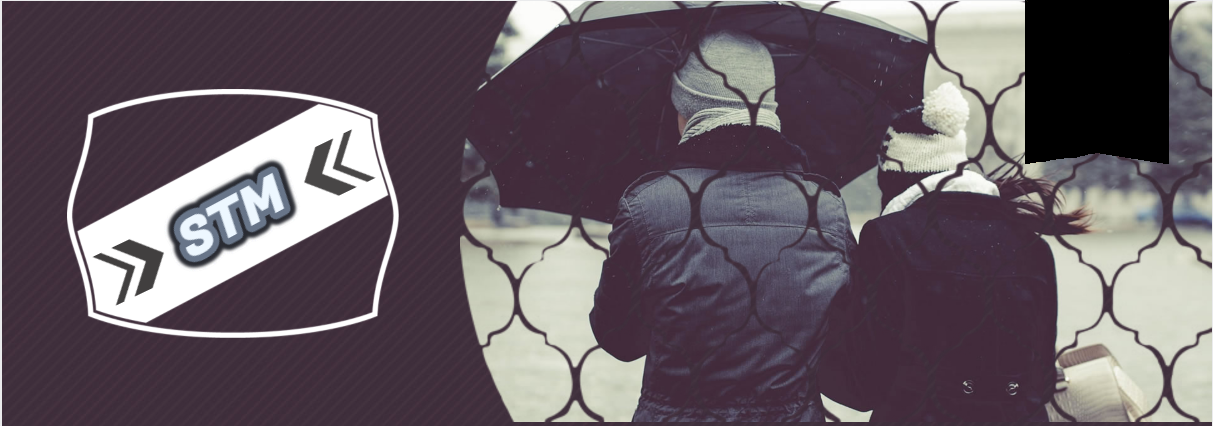 STM_Builders on Planet Minecraft