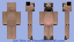 Pibble Minecraft Skin