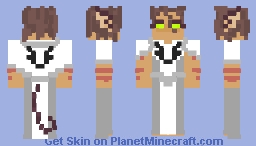 Chiped Catra SPOP Minecraft Skin