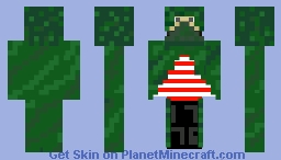 patriotic ranger Minecraft Skin