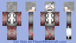 Skeleton Knight Minecraft Skin
