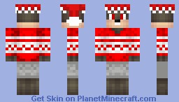 Owner Minecraft Skin