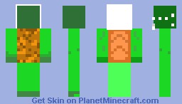 Turtle Minecraft Skin