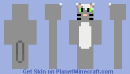 Gray Cat Minecraft Skin
