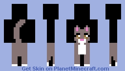 Cat skin Minecraft Skin