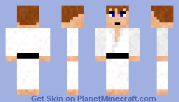 Martial arts master Minecraft Skin
