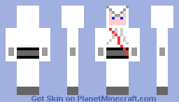assassin Minecraft Skin
