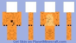 Female lion Minecraft Skin