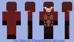 Magneto Minecraft Skin