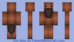 Platypus Minecraft Skin