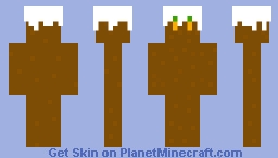 Carrot Cake Minecraft Skin
