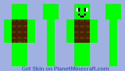 Turtle Minecraft Skin