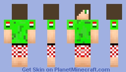 try 5 Minecraft Skin