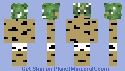 Birch Minecraft Skins | Planet Minecraft Community
