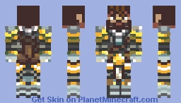 Paladin Minecraft Skin