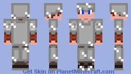 Hero Knight Minecraft Skin