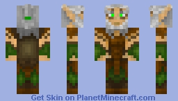 The Old Druid Minecraft Skin