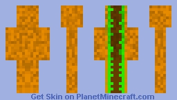 Taco skin Minecraft Skin