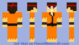 Karate Master Skin Minecraft Skin
