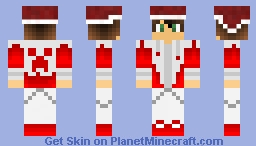 MineMaster_141 Minecraft Skin