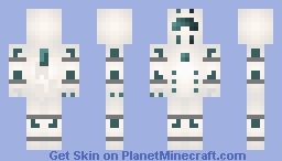 M.a.C.S colonizer Minecraft Skin