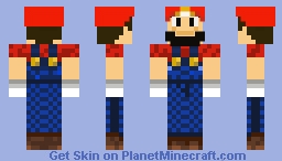 Super Mario Minecraft Skin