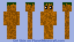 Mensch(Erde) Minecraft Skin
