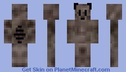 Raccoon Minecraft Skin