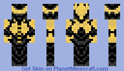 Raidriar Minecraft Skin