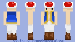 Toad and things Minecraft Skin