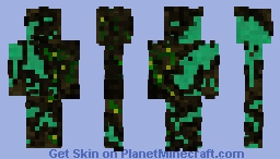 Antiguo defensor del Prado Minecraft Skin