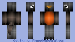 robin (bird) fixed weird looking top of head Minecraft Skin