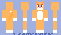 Orange Cat Minecraft Skin