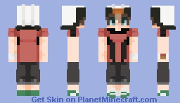 its the hoenn boi himself Brendan Minecraft Skin