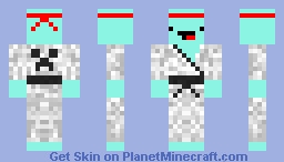 Karate man Minecraft Skin