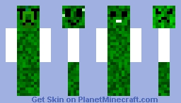test Minecraft Skin