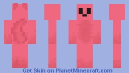 hunter slugcat Minecraft Skin