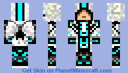 Assassin Minecraft Skin