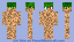 grass block skin Minecraft Skin