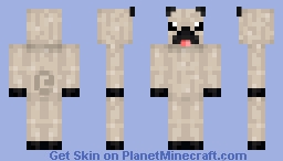 3D tail Minecraft Skin