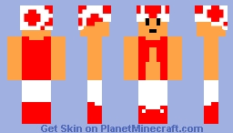 toad 8 bits nes smb1 Minecraft Skin