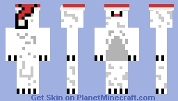 polar Minecraft Skin