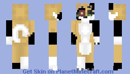 𝓬𝓻𝓲𝓬𝓴𝓮𝓽 Minecraft Skin